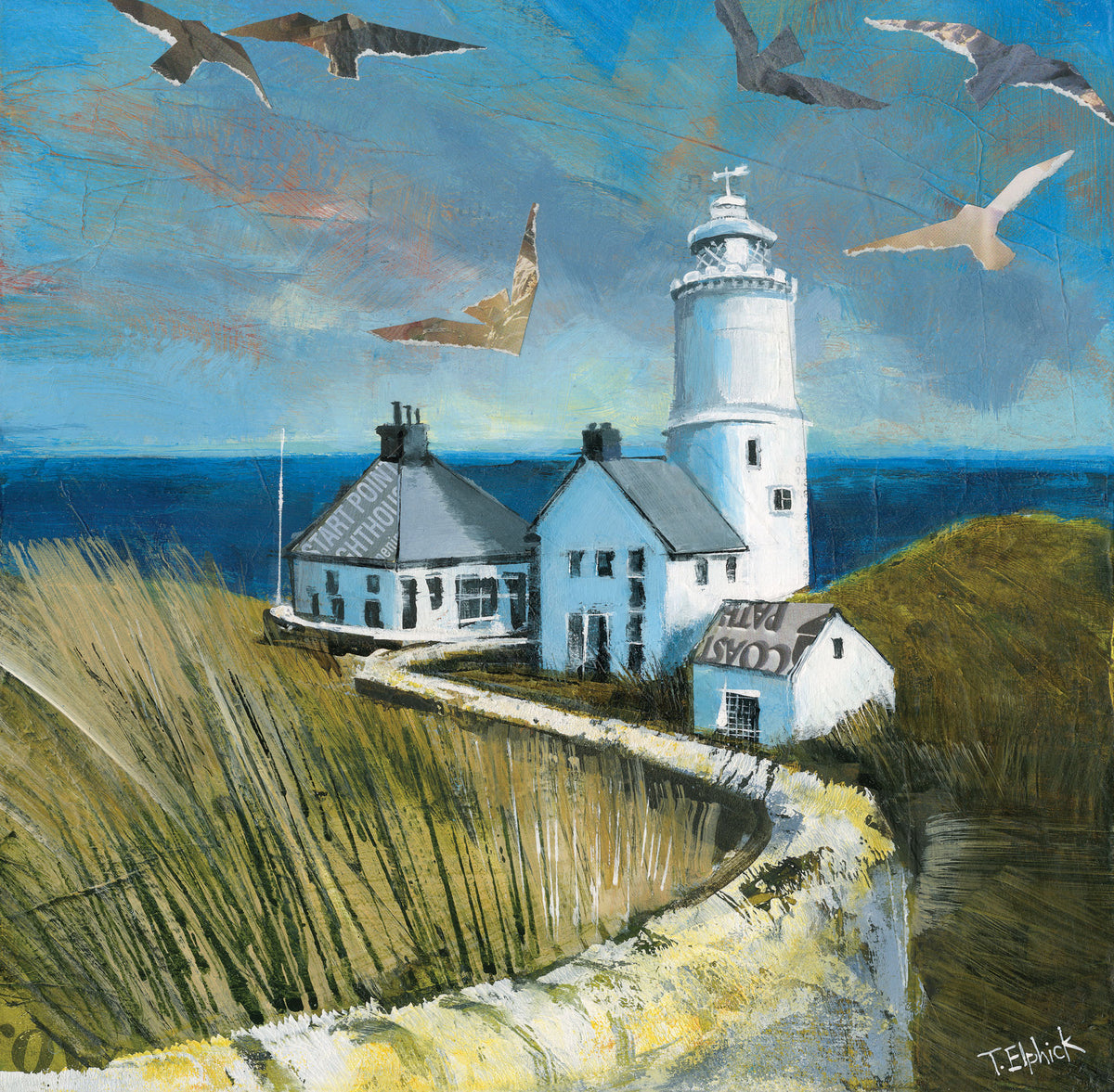 Tracey Elphick Start Point Print – Baxters